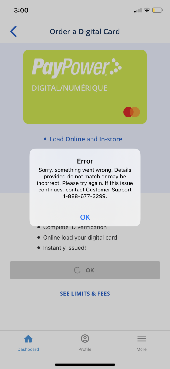 PayPower Prepaid Mastercard Review